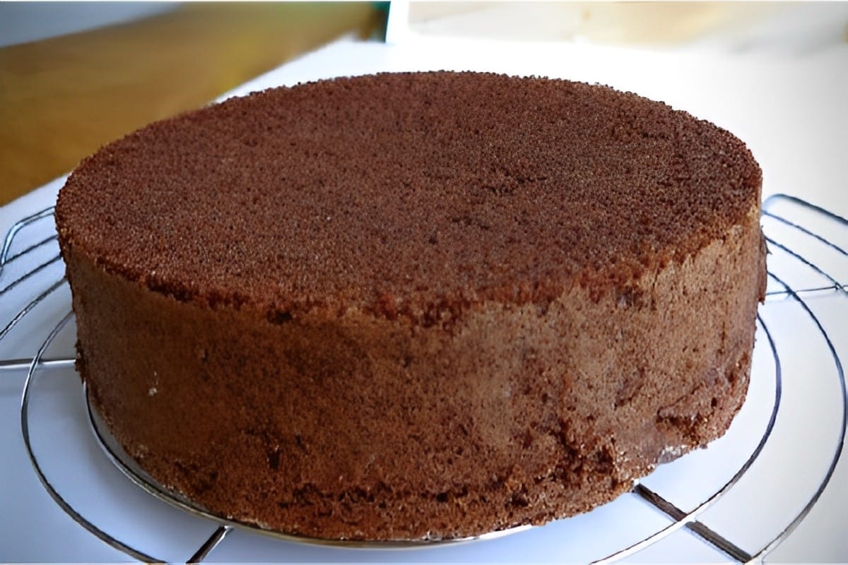 Pão de ló de chocolate levíssimo fácil de fazer e derrete na boca