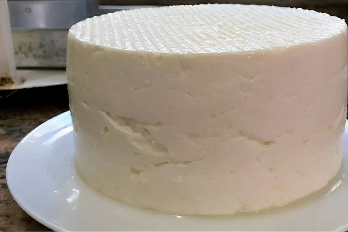 Queijo branco caseiro que você vai conseguir fazer de um jeito fácil ...