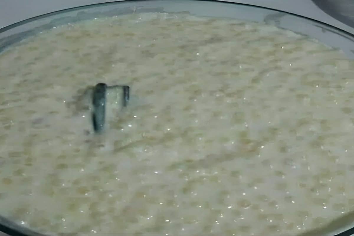 Sagu ao leite uma sobremesa tão boa e fácil que você vai querer fazer ...