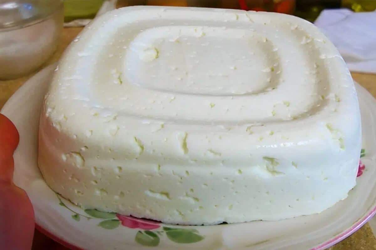 Queijo caseiro que você precisa só de leite e vinagre e fica uma delícia
