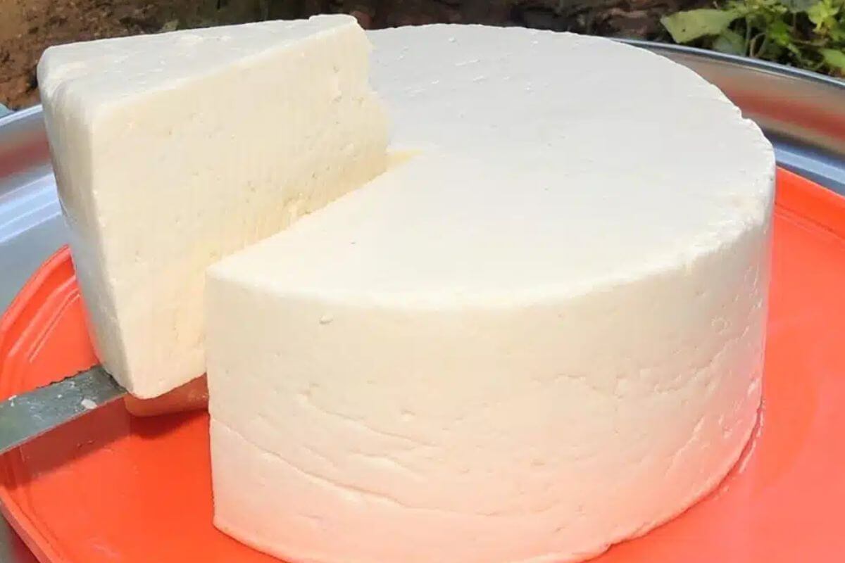 Queijo caseiro para você aprender a fazer sempre que quiser e não precisar mais comprar no mercado